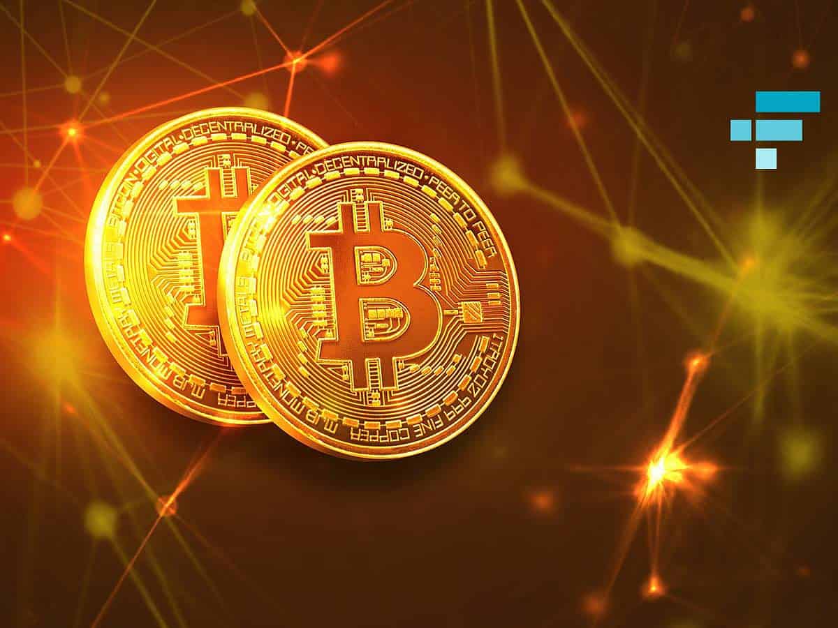 What is the Ftx Mlb?